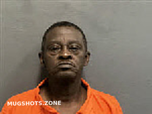 WILSON ANTHONY SCOTT 03/24/2025 - Houston County Mugshots Zone