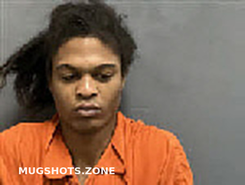 JACKSON JAVIS DE'SHAUN 03/29/2025 - Houston County Mugshots Zone