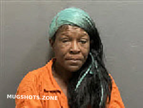 WILLIAMS LATASHA RENEA 04/19/2025 - Houston County Mugshots Zone