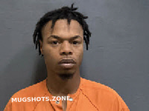 MING MARLO ANTONIO 06/01/2025 - Houston County Mugshots Zone