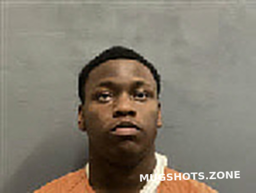 HALL MEKHI MOSES SCOTT 06/02/2025 - Houston County Mugshots Zone