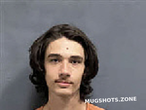 BACK SHAWEN DANIEL 07/19/2025 - Houston County Mugshots Zone