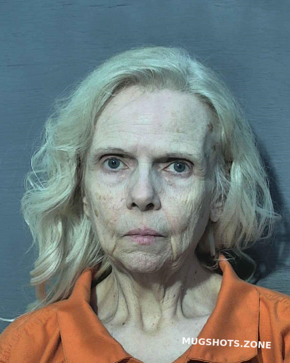 GUICE JANET MCCARTY 11/17/2025 - Houston County Mugshots Zone