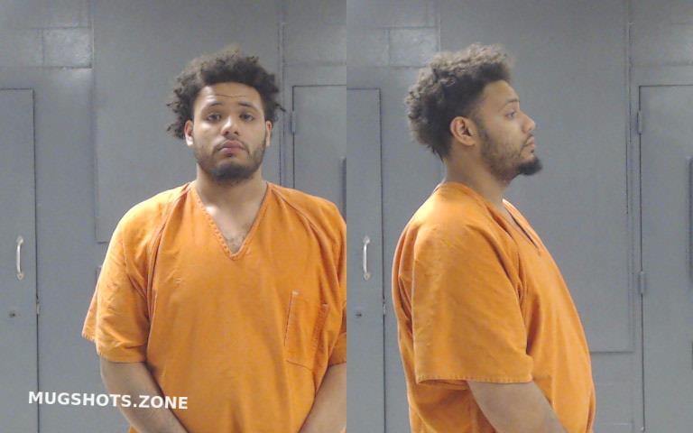 REYES NATHAN LEE 02/12/2023 - Hunt County Mugshots Zone