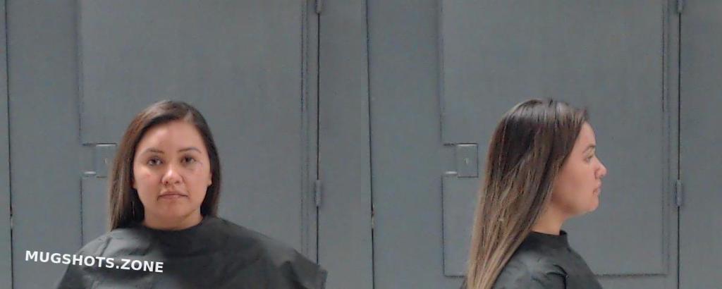 HERNANDEZ JENNIFER AIDE 03/10/2024 - Hunt County Mugshots Zone
