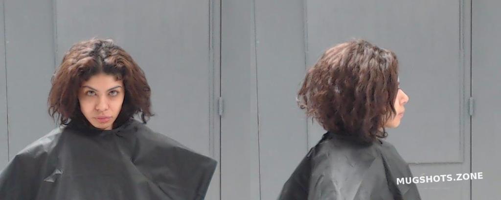 HABIB MARY ANN 05/02/2024 - Hunt County Mugshots Zone