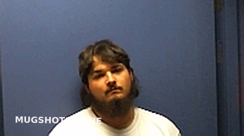 GOETZ TYLER REED 01/24/2021 - Huron County Mugshots Zone