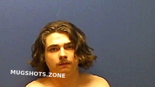 CHAPIN-FOWLER JACE VINCENT 03/29/2021 - Huron County Mugshots Zone