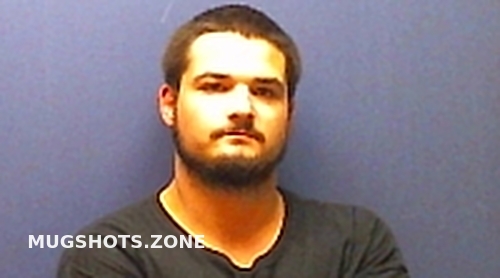 GOETZ TYLER REED 03/17/2022 - Huron County Mugshots Zone