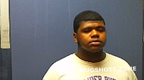 SPRINGFIELD II ANTHONY THOMAS 10/19/2022 - Huron County Mugshots Zone