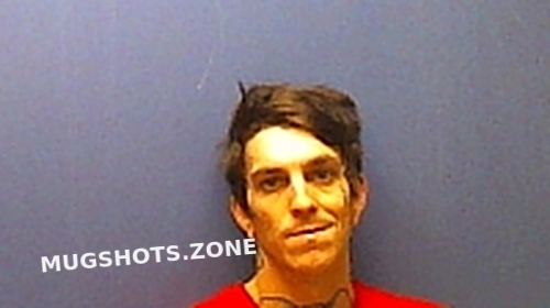 MAESTAS NICHOLAS SHANE 11/20/2022 - Huron County Mugshots Zone