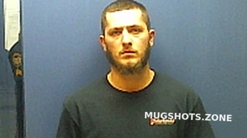 ROLLINS JR MARK ANTHONY 01/17/2023 - Huron County Mugshots Zone
