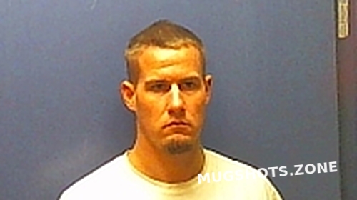 BAILES CODEY MICHAEL 01/18/2023 - Huron County Mugshots Zone