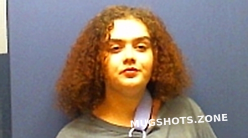 WILLIAMS JENESSA NICHOLE 02/11/2023 - Huron County Mugshots Zone