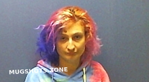 ANDERSON MISTY DAWN 03/21/2023 - Huron County Mugshots Zone