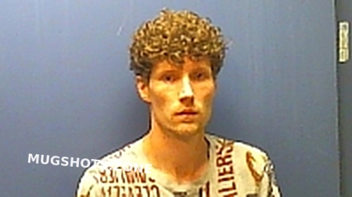 HALE CALEB MYLES 06/27/2023 - Huron County Mugshots Zone