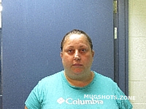 BRANT LISA RENEE 08/14/2023 - Huron County Mugshots Zone