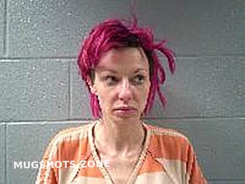 BIEDENBACH JENNIFER M 04/21/2024 - Huron County Mugshots Zone