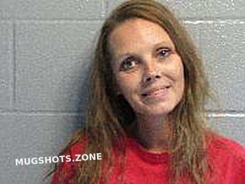 CONLEY BRANDY LEANN 07/29/2024 - Huron County Mugshots Zone