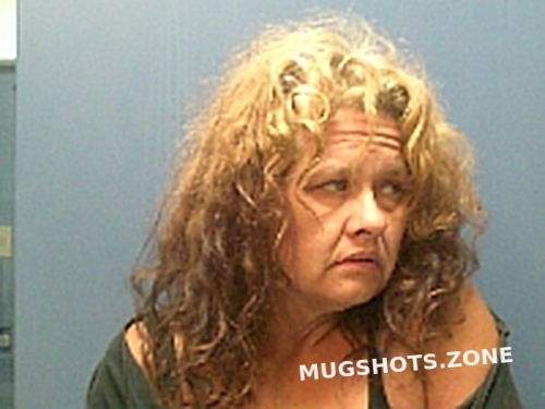 HANEY NICHOLE MARIE 10/13/2024 - Huron County Mugshots Zone