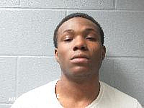 WILSON JR WILLIE MACK 11/09/2024 - Huron County Mugshots Zone