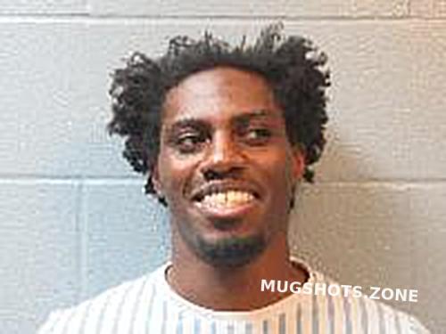 WILLIAMS MADISON D 11/18/2024 - Huron County Mugshots Zone