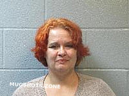 HANEY NICHOLE MARIE 12/15/2024 - Huron County Mugshots Zone