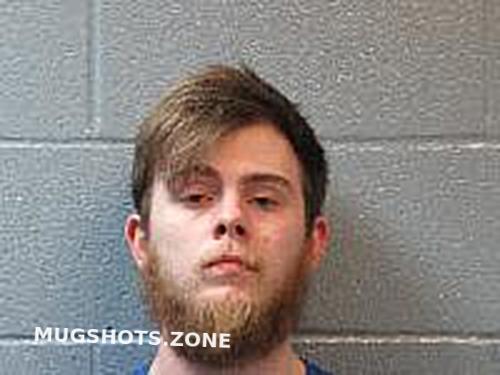 WARD II MICHAEL EDWARD 04/28/2025 - Huron County Mugshots Zone