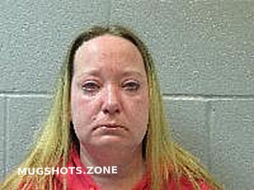 ANDERSON SARAH JEAN 01/29/2026 - Huron County Mugshots Zone