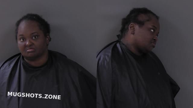 RITTER ALEXIS NICOLE 11/30/2022 - Indian River County Mugshots Zone