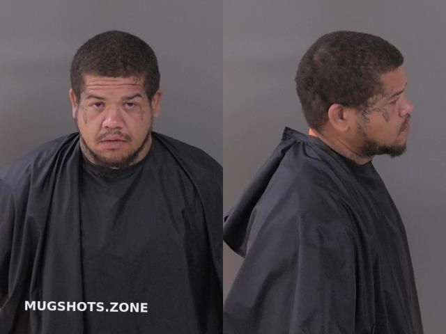 NOLL MARCUS CESAR 01/12/2023 - Indian River County Mugshots Zone