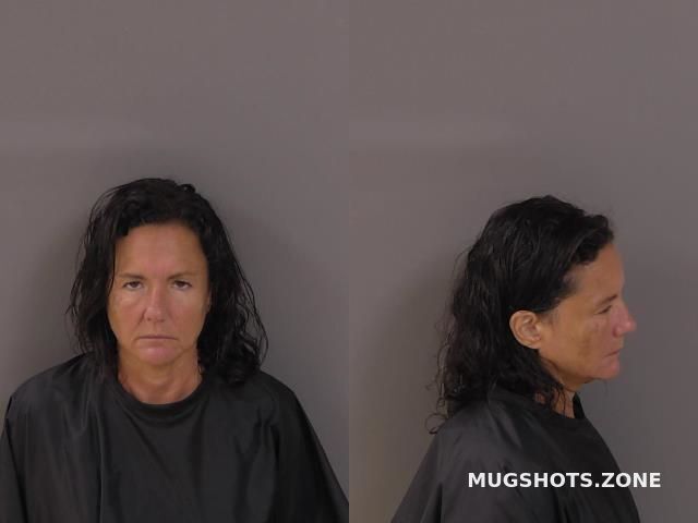 DEMATTEIS SUSAN 07/28/2023 - Indian River County Mugshots Zone