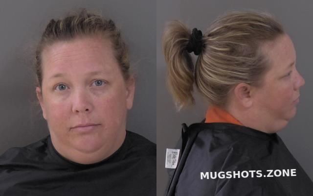 GILL LESLEY ANN 08/22/2023 - Indian River County Mugshots Zone