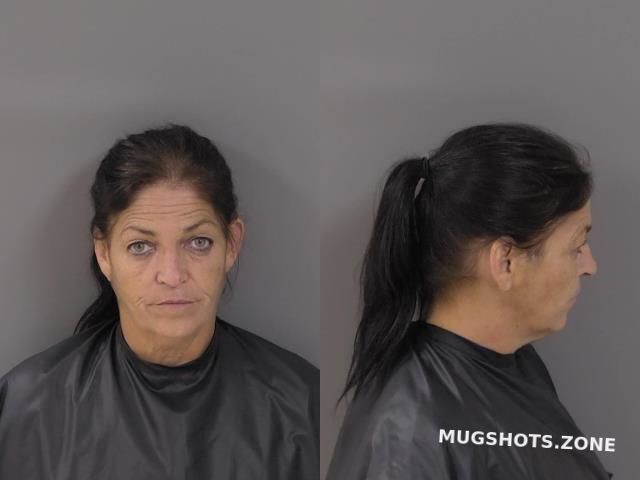 LEVESQUE DEBRA ANNE 01/26/2024 - Indian River County Mugshots Zone