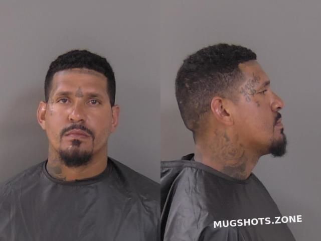 VINCENT ABAD CARLOS XAVIER 06/15/2024 - Indian River County Mugshots Zone
