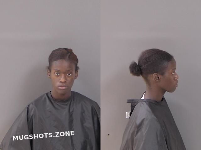 ALEXIS AMY 08/28/2024 - Indian River County Mugshots Zone