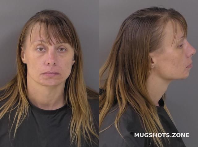 LLEWELLYN HEATHER LYNNE 12/30/2024 - Indian River County Mugshots Zone