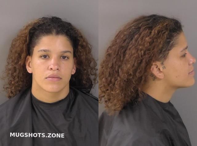 CASTRO RIOS TANAIRY LEE ROSE 06/05/2025 - Indian River County Mugshots Zone