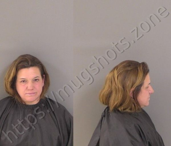 PERRY SONIA MARIE 03/17/2026 - Indian River County Mugshots Zone