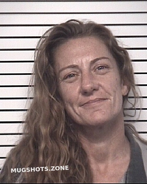CASE MELISSA DAWN 08/30/2023 - Iredell County Mugshots Zone