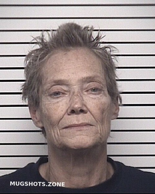 MILLER GINGER DELORES 01/23/2024 - Iredell County Mugshots Zone