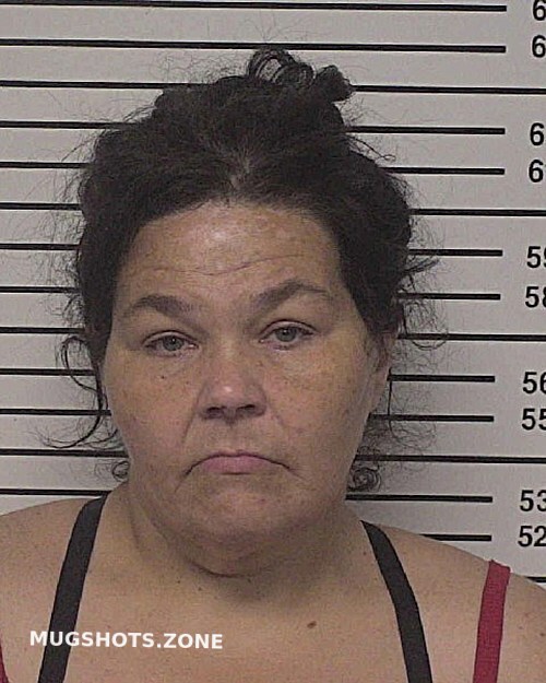 LLOYD LISA LYN 08/23/2025 - Iredell County Mugshots Zone