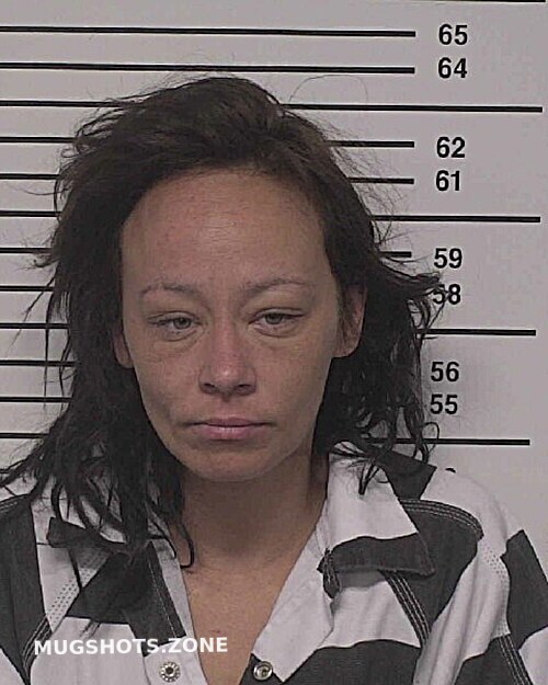 MCCARTER ERICA KRISTEN 12/06/2025 - Iredell County Mugshots Zone