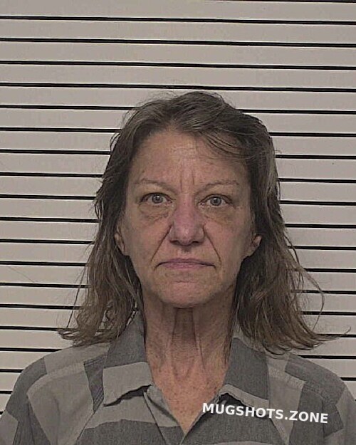 FAIN SUSAN RENEE 01/06/2026 - Iredell County Mugshots Zone