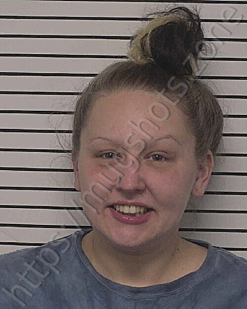 MITCHELL MONICA GAIL 05/26/2026 - Iredell County Mugshots Zone