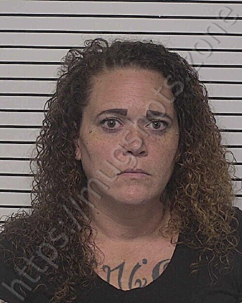 MOREL MARY ELIZABETH 05/26/2026 - Iredell County Mugshots Zone
