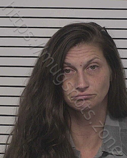 SAUNDERS HALEY MELISSA 05/26/2026 - Iredell County Mugshots Zone