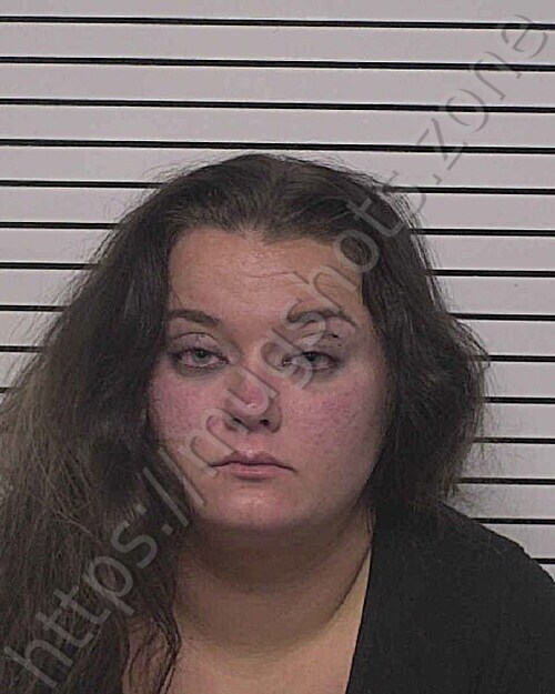 JESSUP KAYLA LAUREN 05/28/2026 - Iredell County Mugshots Zone