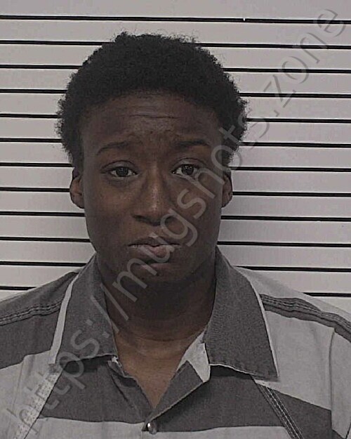 FARRINIGTON AMYIA MARY 05/29/2026 - Iredell County Mugshots Zone