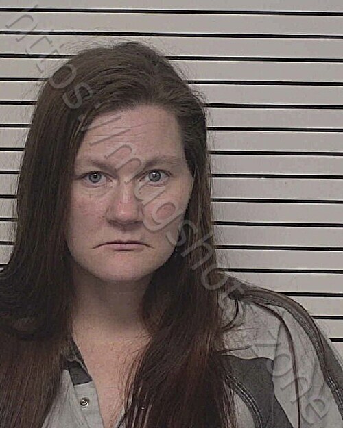 JOSEY SARAH FAYE 05/31/2026 - Iredell County Mugshots Zone